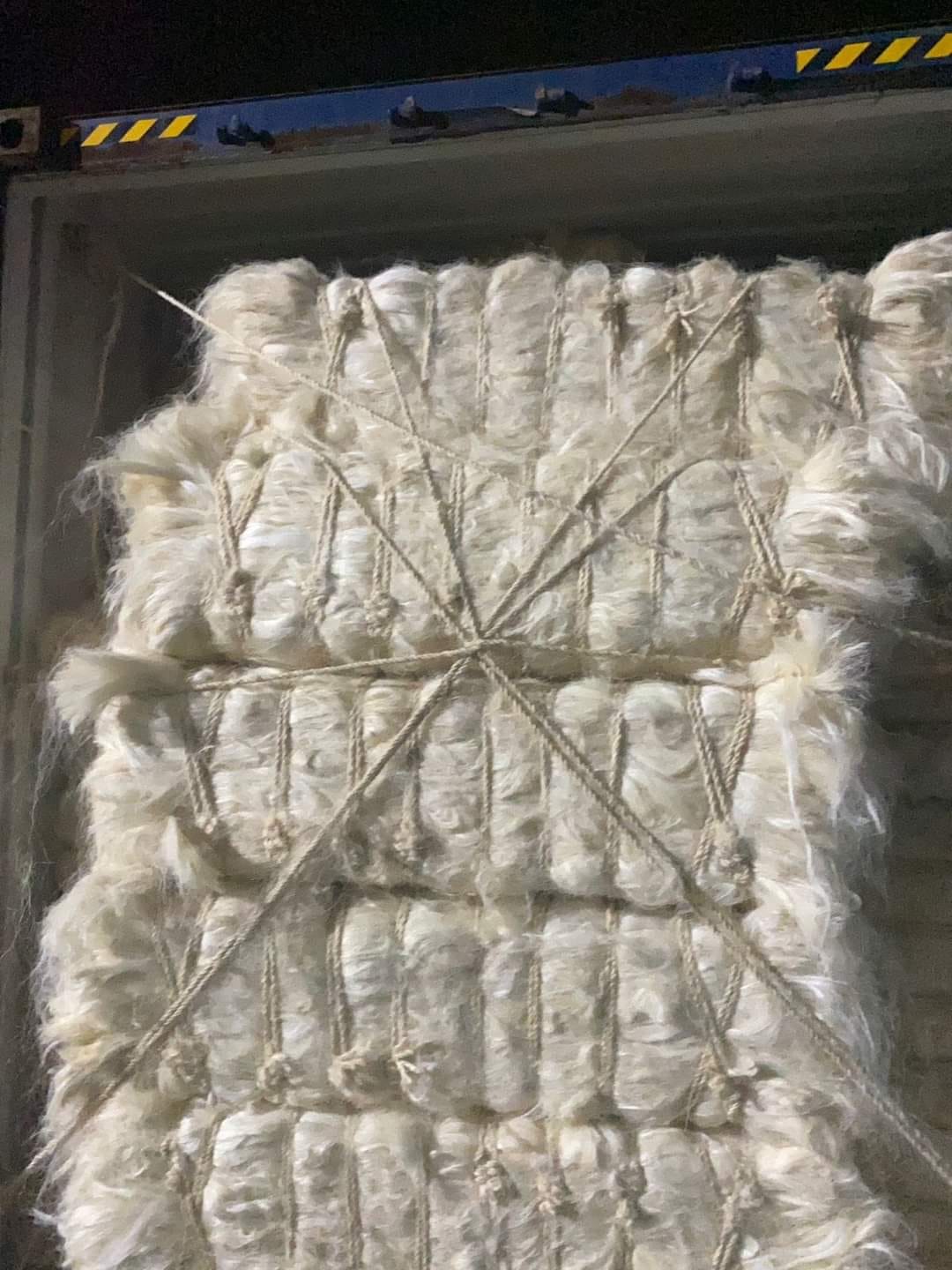 Gallery – YKY Mada