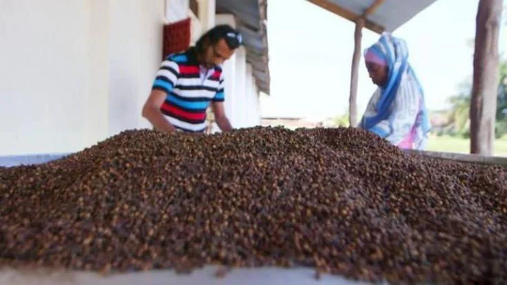 Gallery – YKY Mada