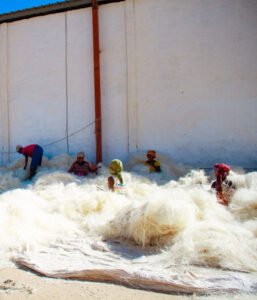 Gallery – YKY Mada