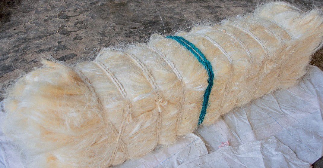 Sisal Fibers – YKY Mada